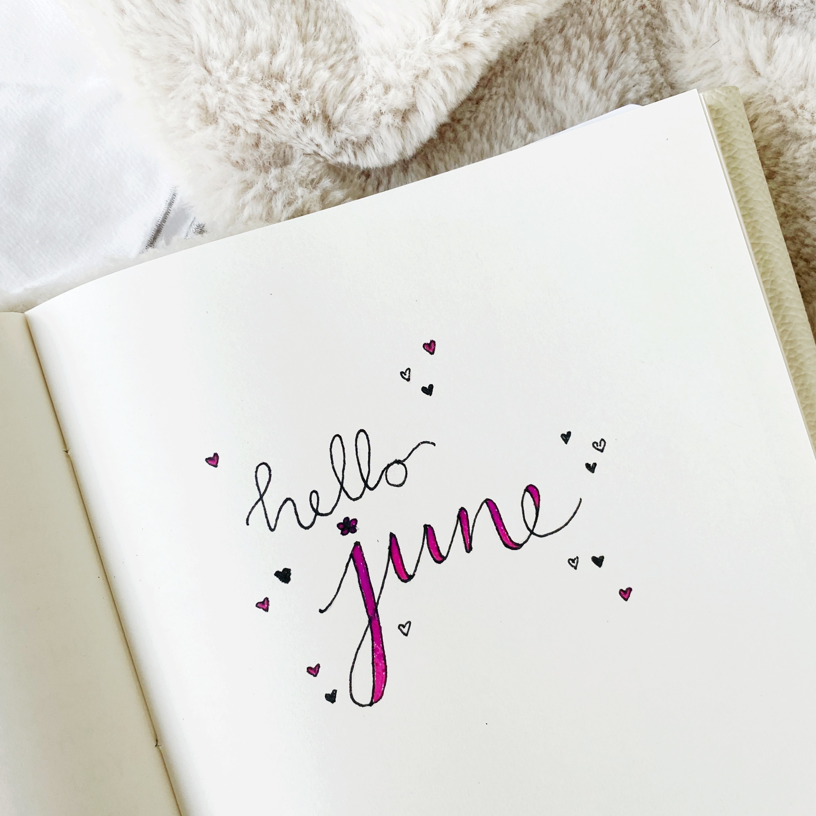My June Bullet Journal! – Sincerely, Meredith